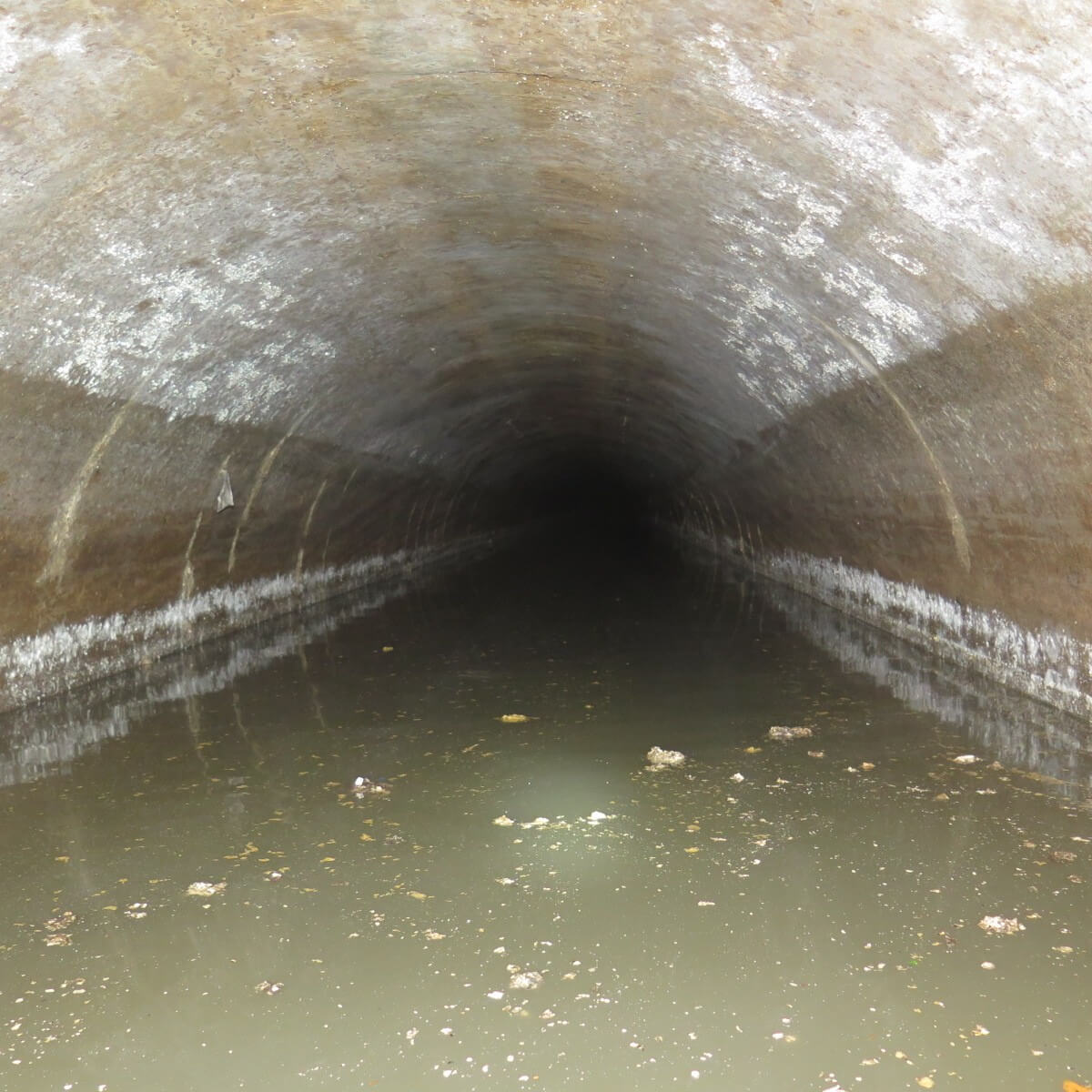 Semi-submersible/Floatation Surveys - infotec